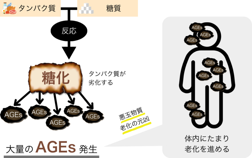 AGEs蓄積量チェック – CELL LABO丨細胞ヘルスケア研究所